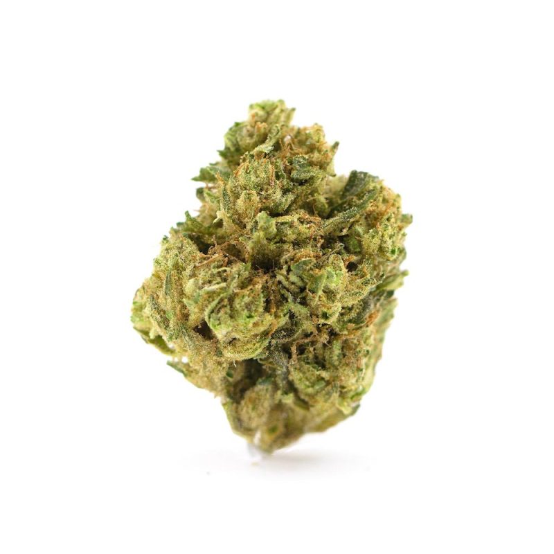 Dog Walker - Wiki Strain